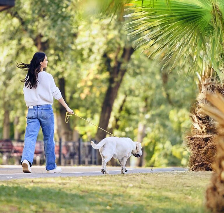 Dog Wash Services in San Diego, California