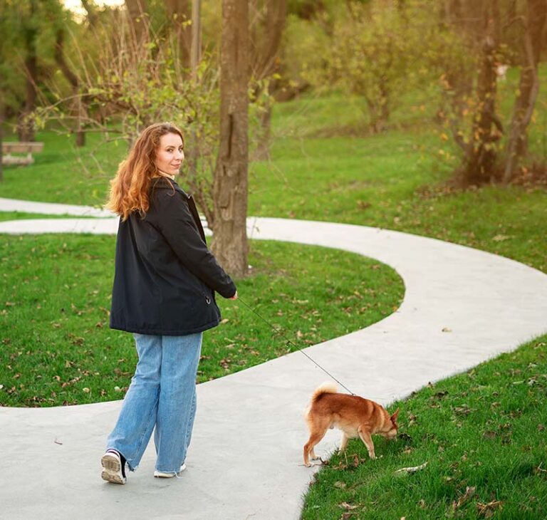 Mobile Pet Grooming Services in San Diego, California